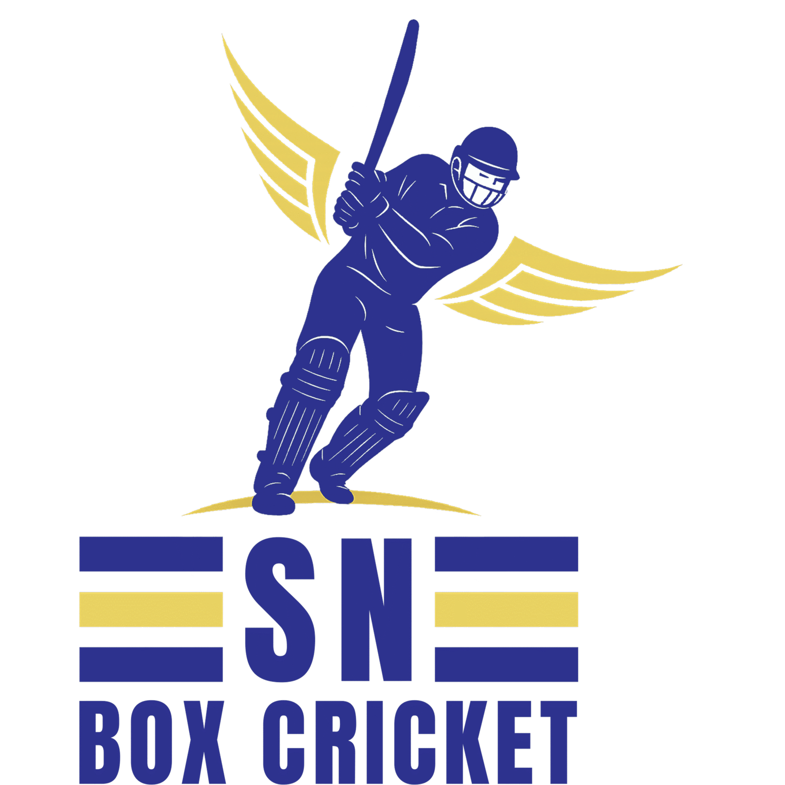 SN Box Cricket | Premium Box Cricket Turf & Sports Arena